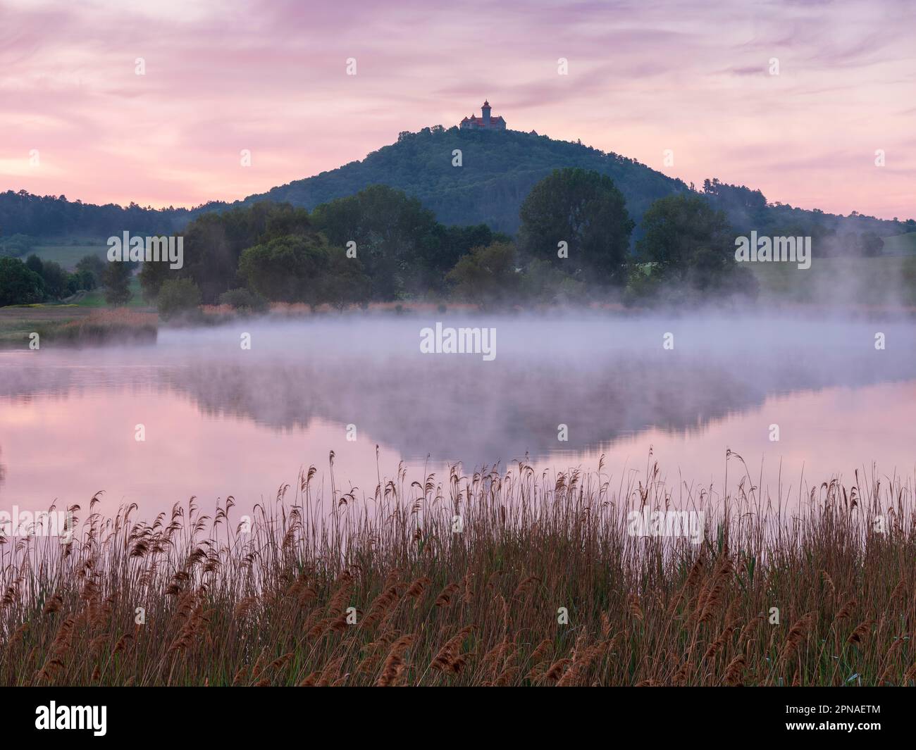 Landscape with lake at dawn, Veste Wachsenburg reflected, castle of the ...