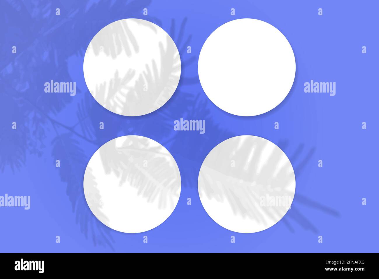 Tui blue Stock Vector Images - Alamy