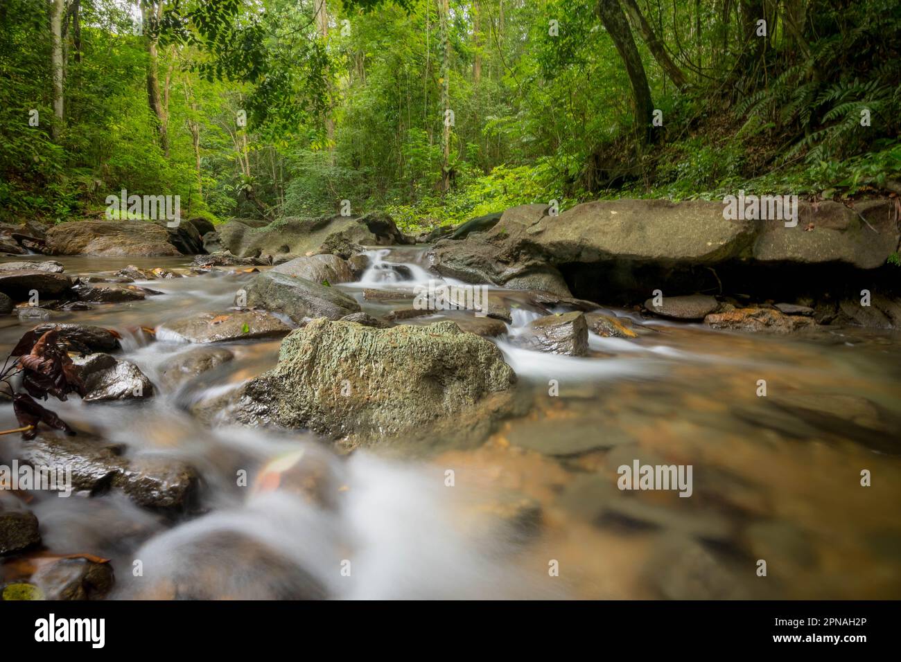 Flowing on the rocks at Quare River, Trinidad Stock Photo - Alamy