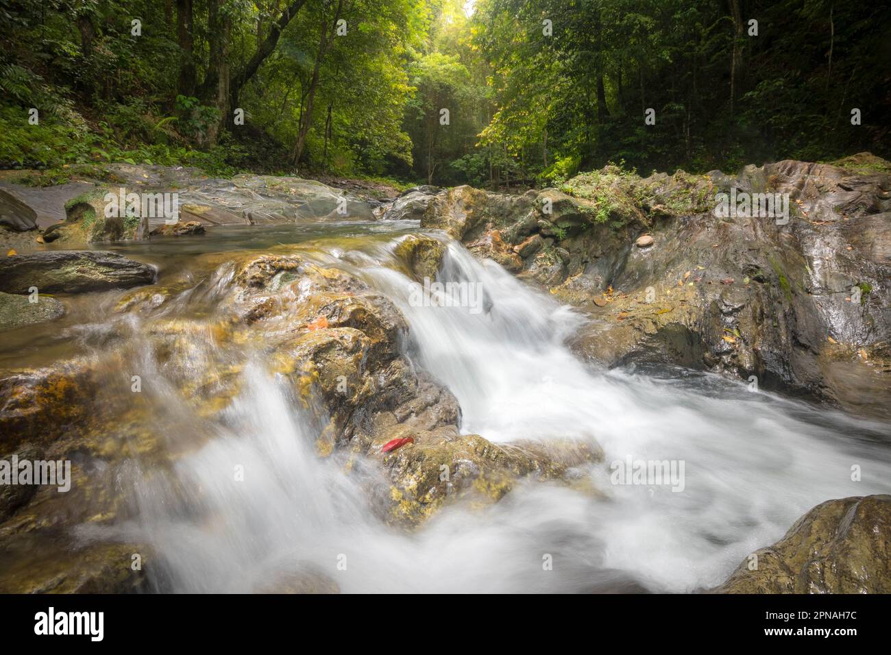 Tobago rainforest waterfall hi-res stock photography and images - Alamy
