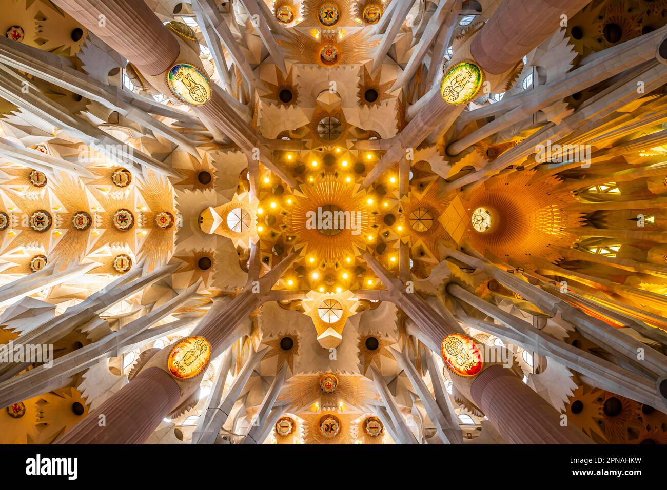 Artistic ceiling vault with columns, interior of the Sagrada Familia ...