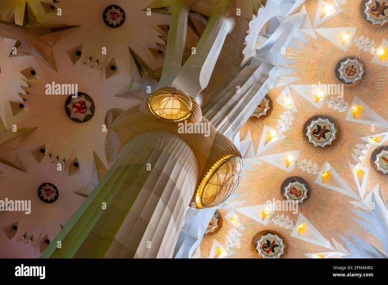 Column and ceiling vault, interior of the Sagrada Familia, Church of ...