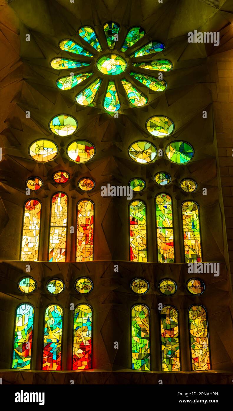 Artistic stained glass windows, interior of the Sagrada Familia, Church ...