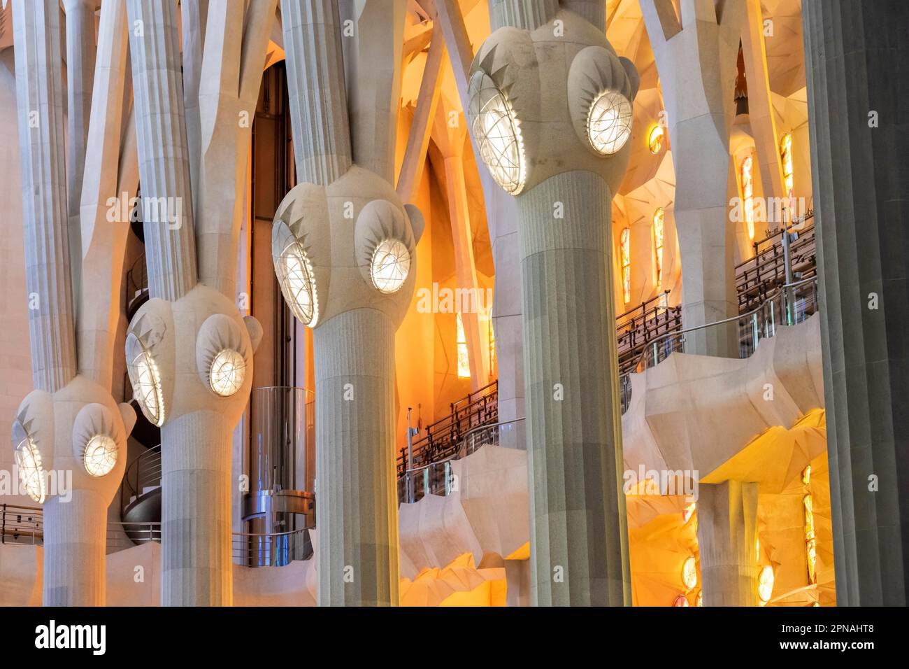 Columns, interior of the Sagrada Familia, Church of the Atonement of ...