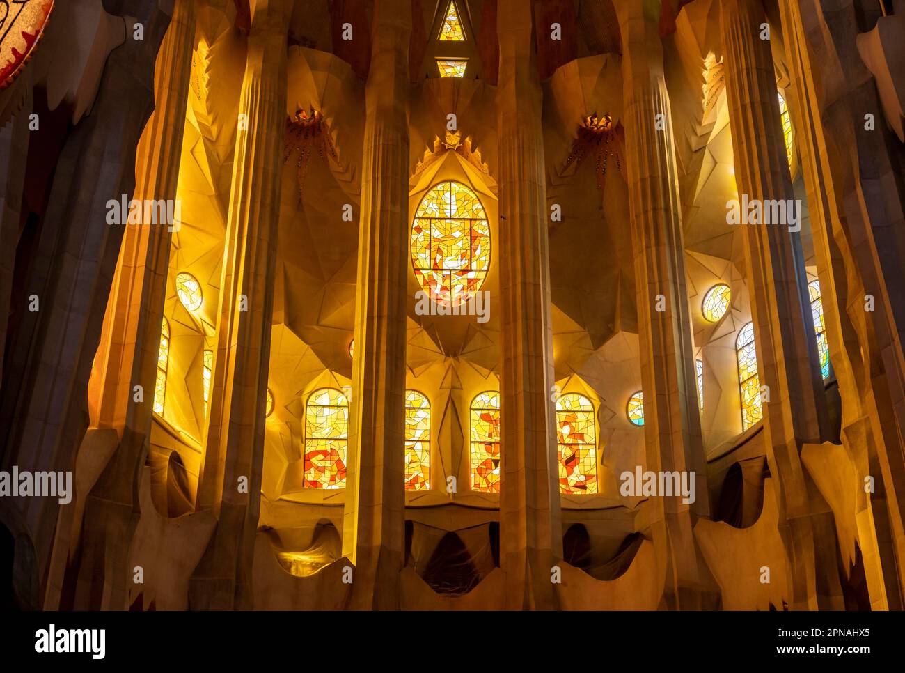 Columns and stained glass windows, interior of the Sagrada Familia ...