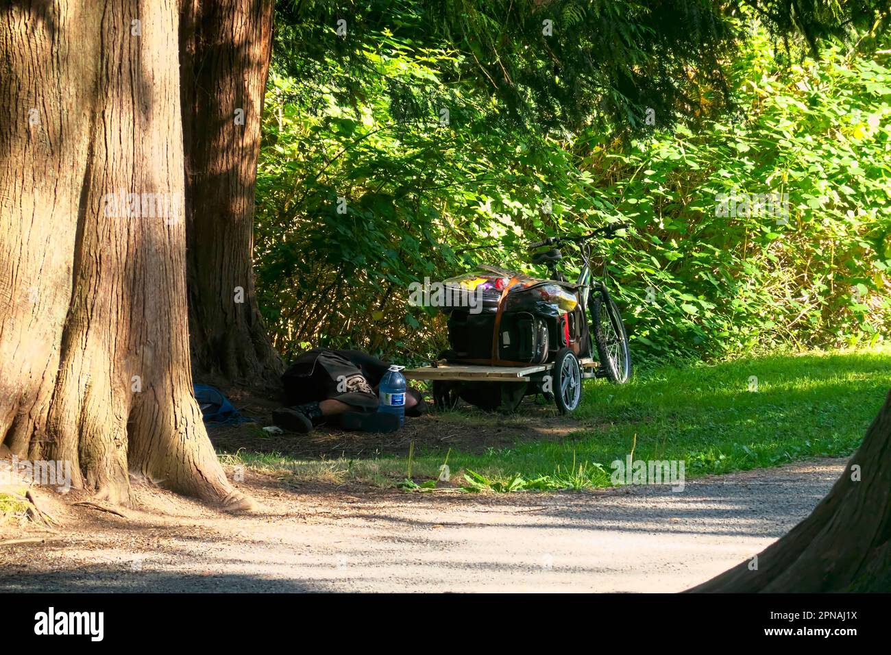A homeless person sleeping on the ground in a park in summertime under ...