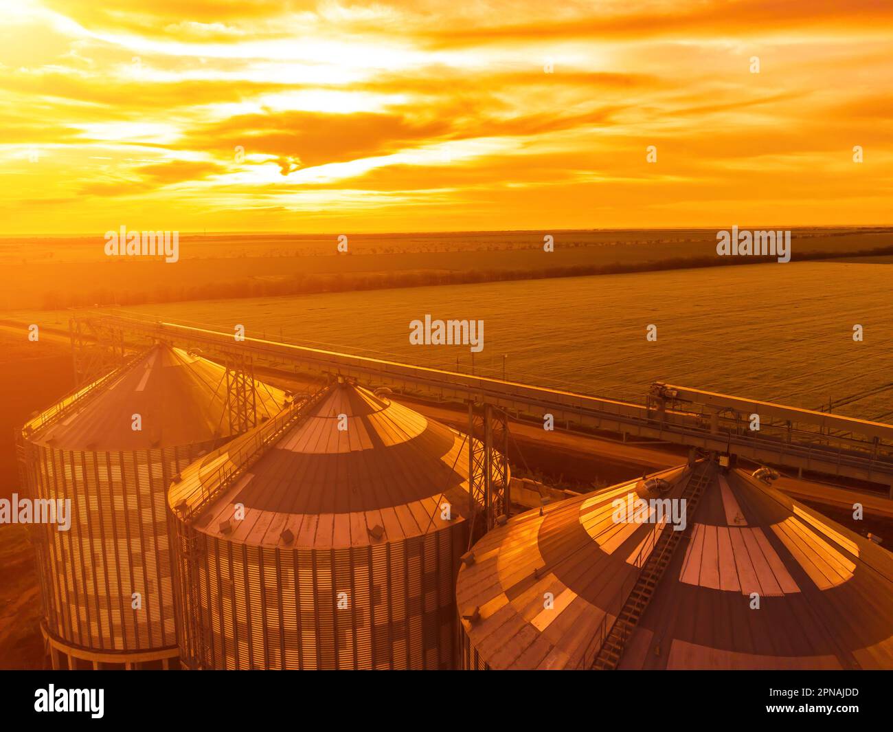 Grain silos on a green field background with warm sunset light. Grain ...