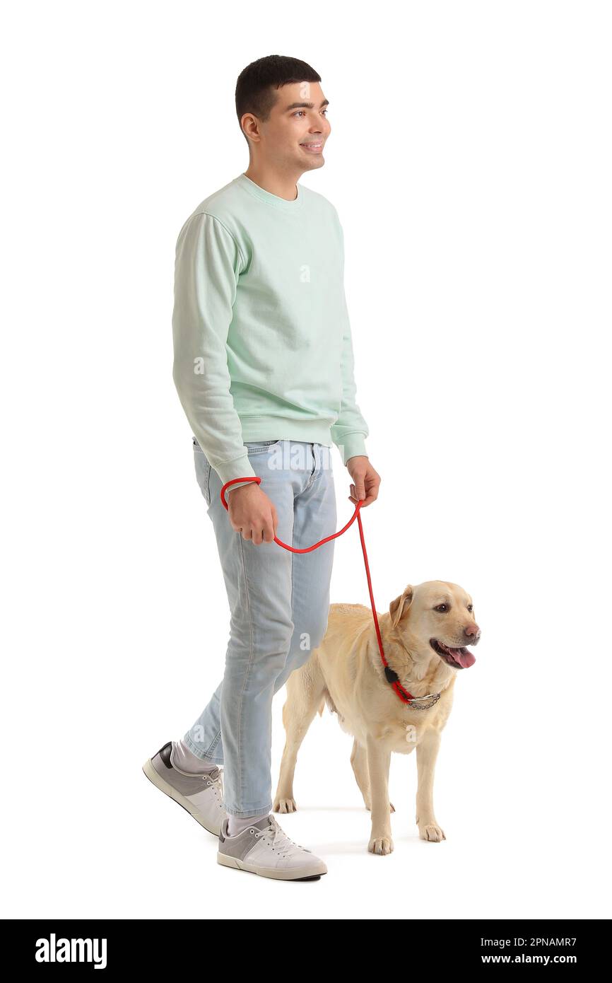 Man walking golden retriever Cut Out Stock Images & Pictures - Alamy