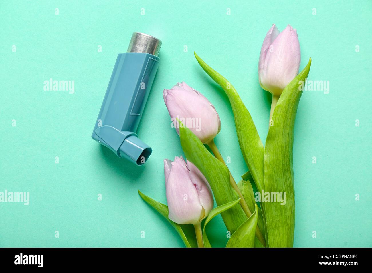 Inhaler with tulips on mint background Stock Photo - Alamy