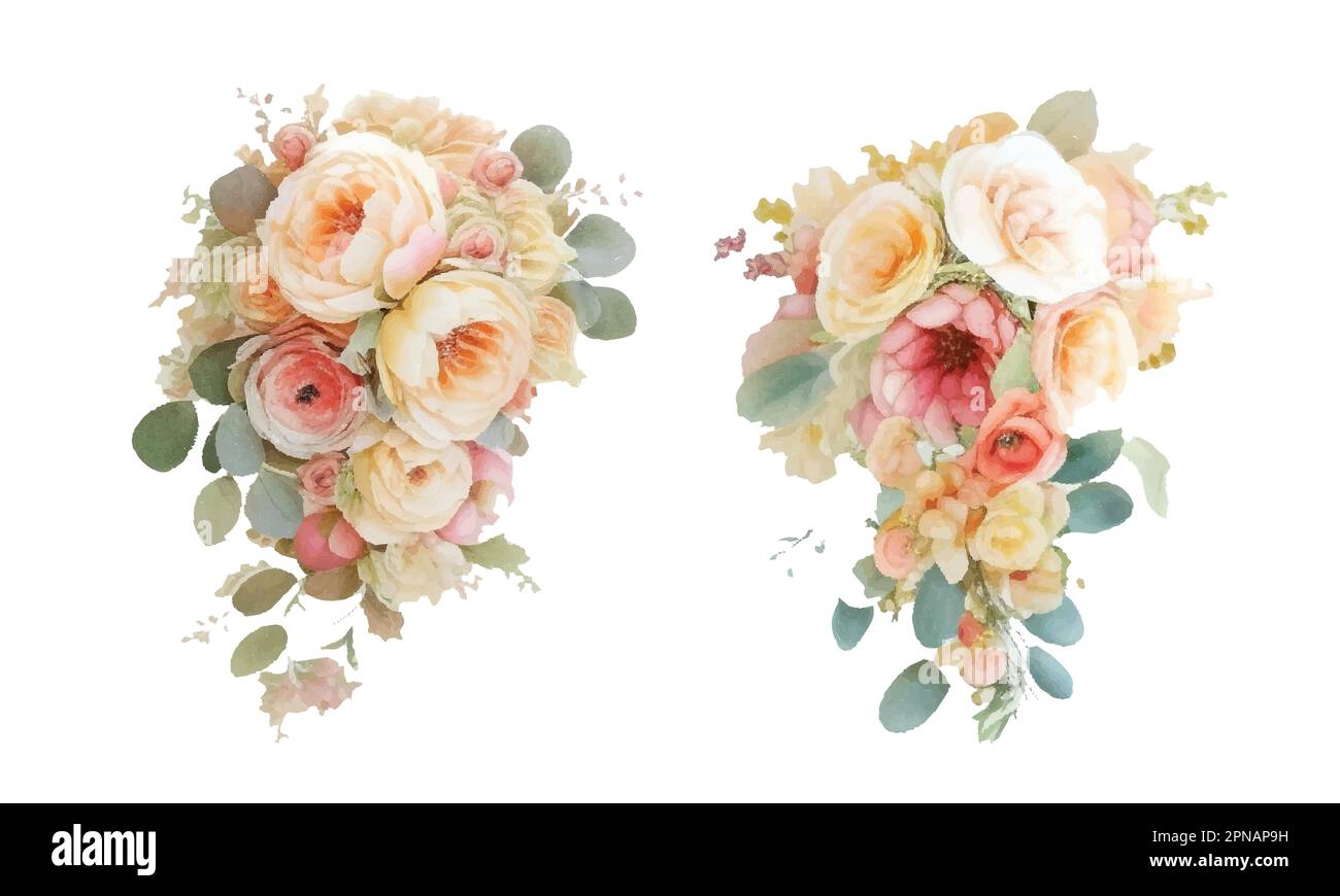 Dusty pink blush, white and creamy rose flowers vector design wedding ...