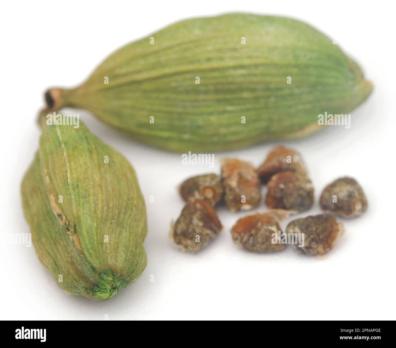 Fresh cardamom seeds over white background Stock Photo - Alamy
