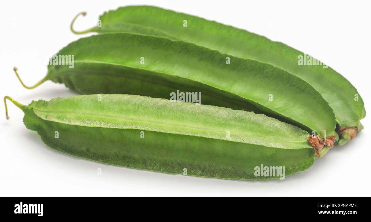 Winged bean fresh harvested over white background Stock Photo - Alamy