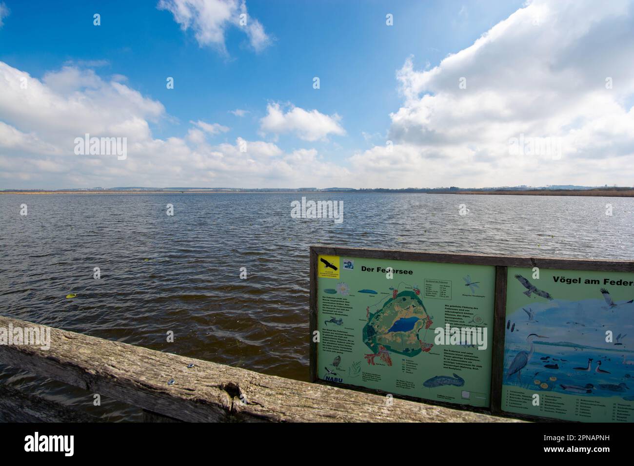 Boardwalk with map around the Federsee, unesco world heritage, Bad ...
