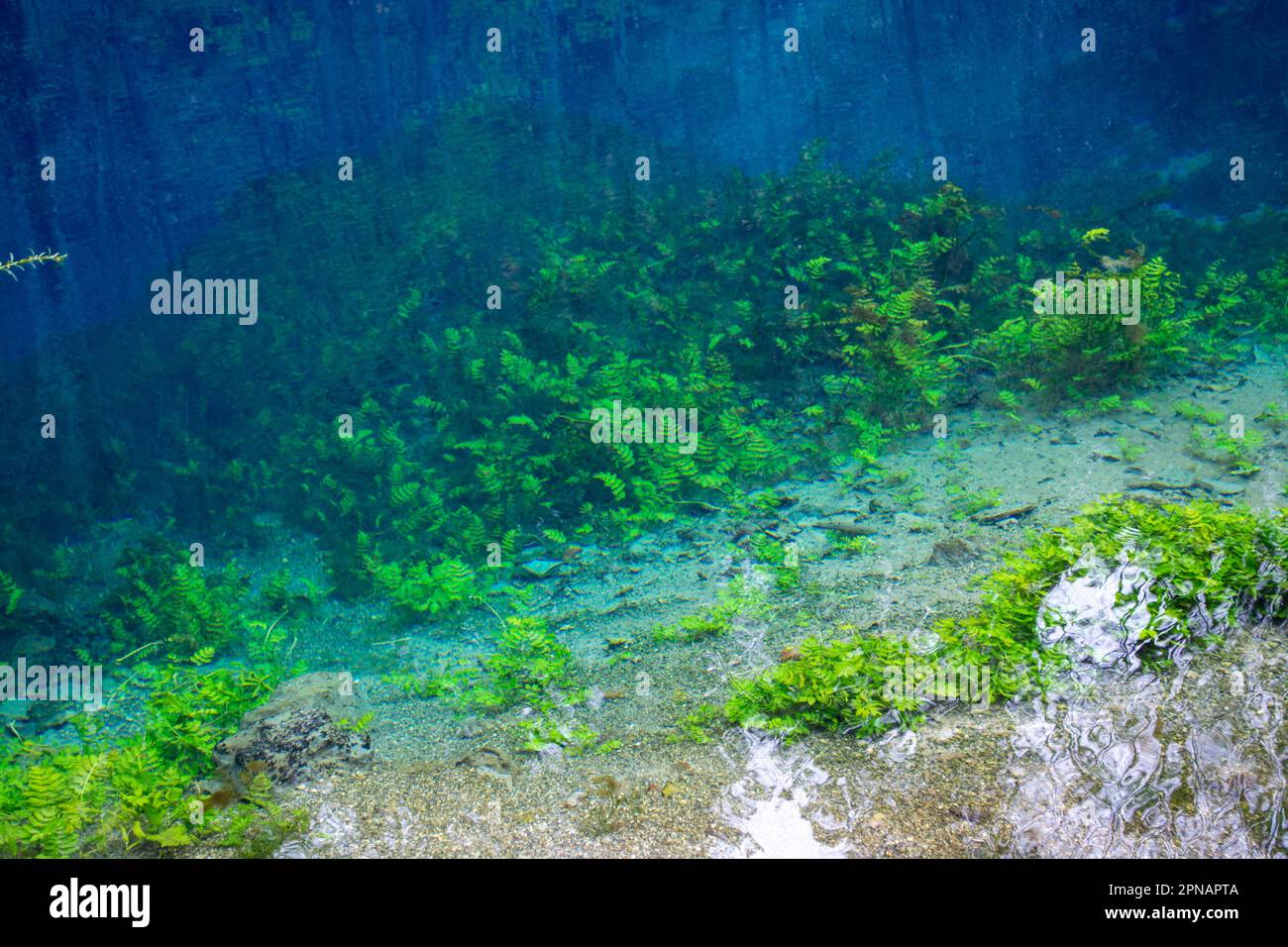 Germany, Blue water of natural source called blautopf blue pot in ...