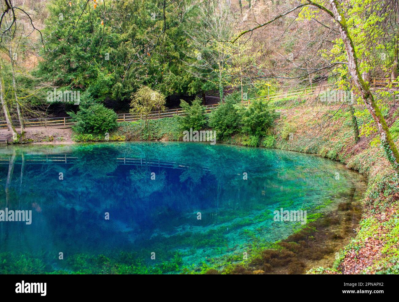 Germany, Blue water of natural source called blautopf blue pot in ...