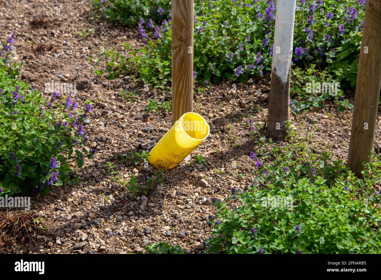 Tree irrigation hi-res stock photography and images - Alamy