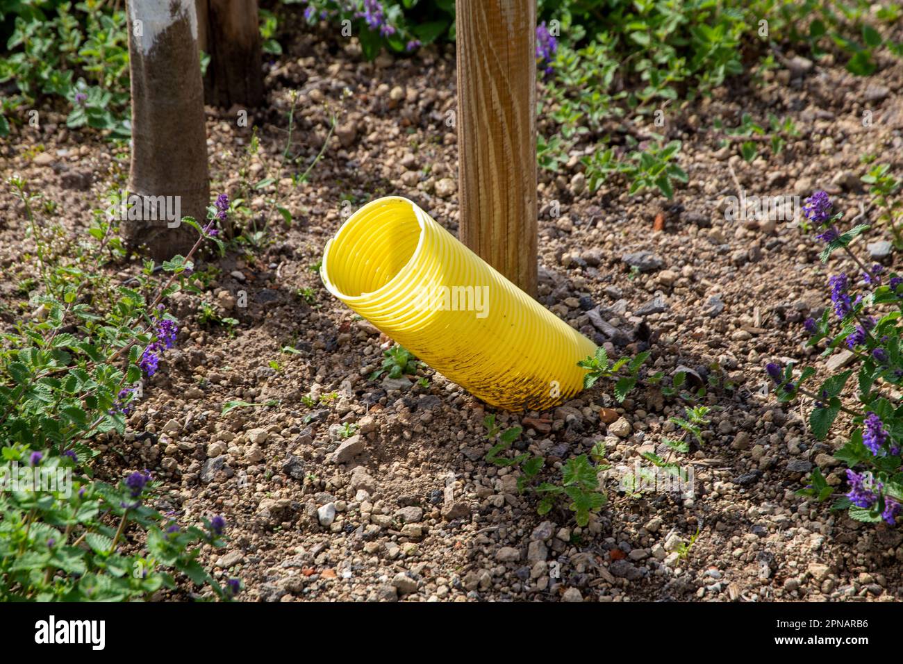 Tree irrigation hi-res stock photography and images - Alamy