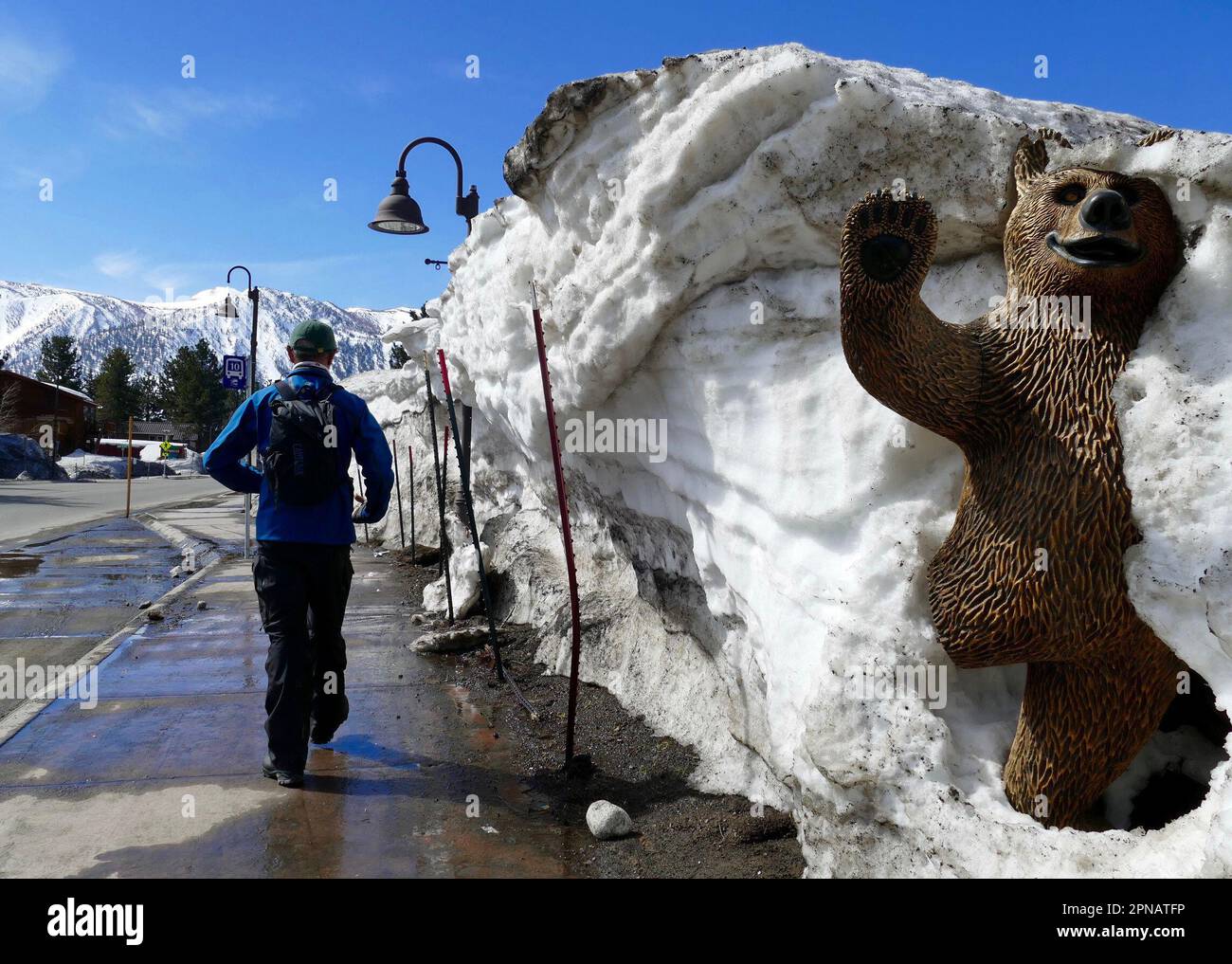 Record snow mammoth hi-res stock photography and images - Alamy