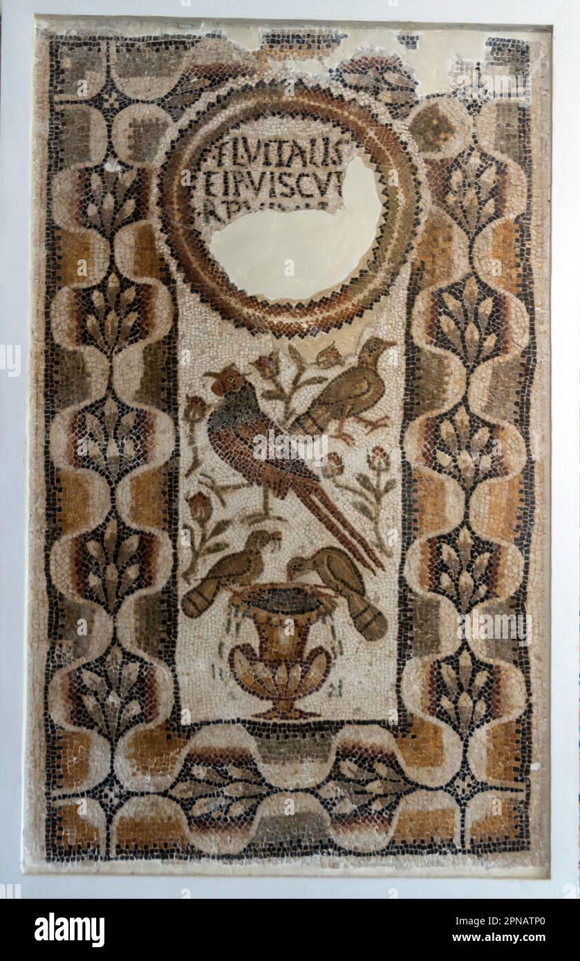 Mosaic Patterns and the Ancient Mosaics of Tunisia Stock Photo - Alamy