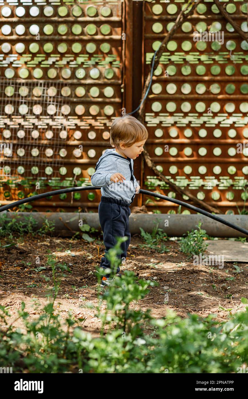 Little boy standing outside. Little boy relax outdoors Stock Photo - Alamy