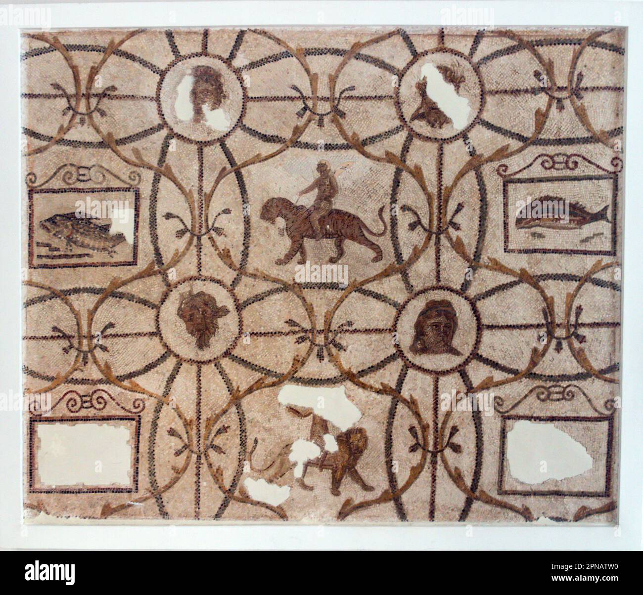 Mosaic Patterns and the Ancient Mosaics of Tunisia at the Bardo Museum ...
