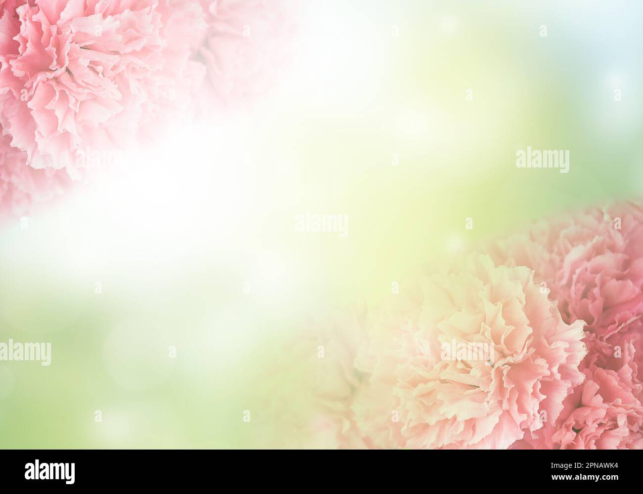 Invitation card with pink carnation. Wedding card template. Floral ...