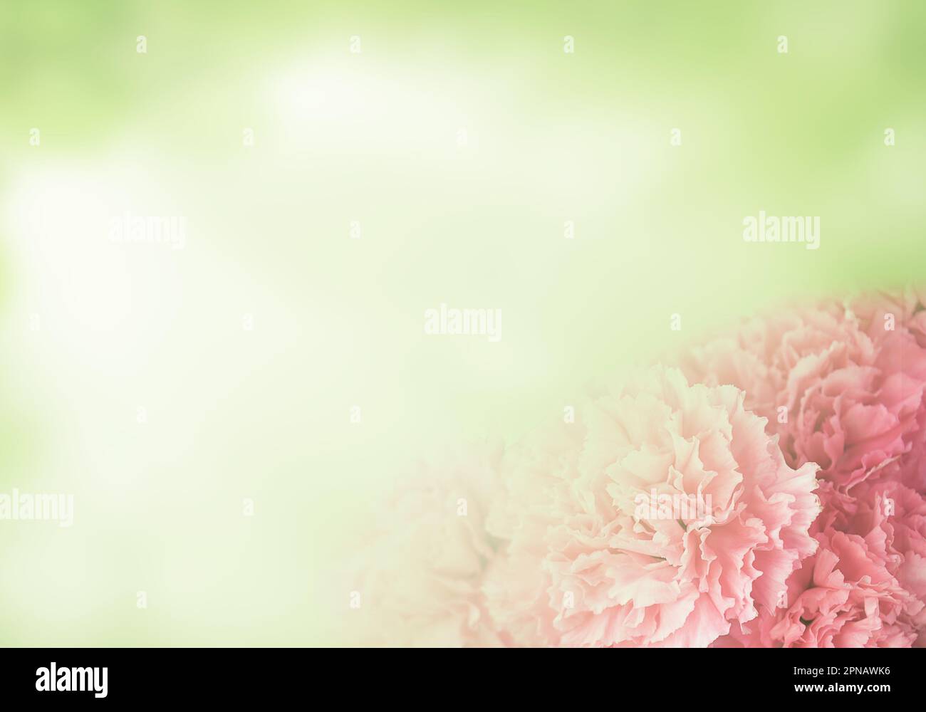 Invitation Card With Pink Carnation Wedding Card Template Floral
