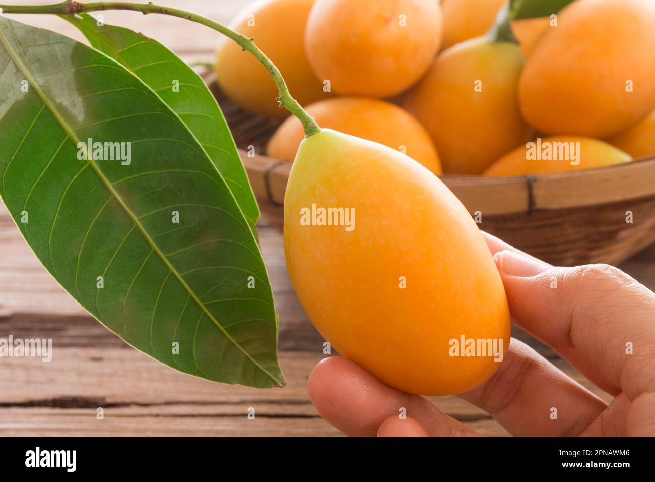 Plum mango hi-res stock photography and images - Alamy