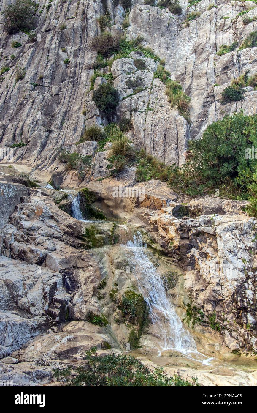 Oued zitoun hi-res stock photography and images - Alamy