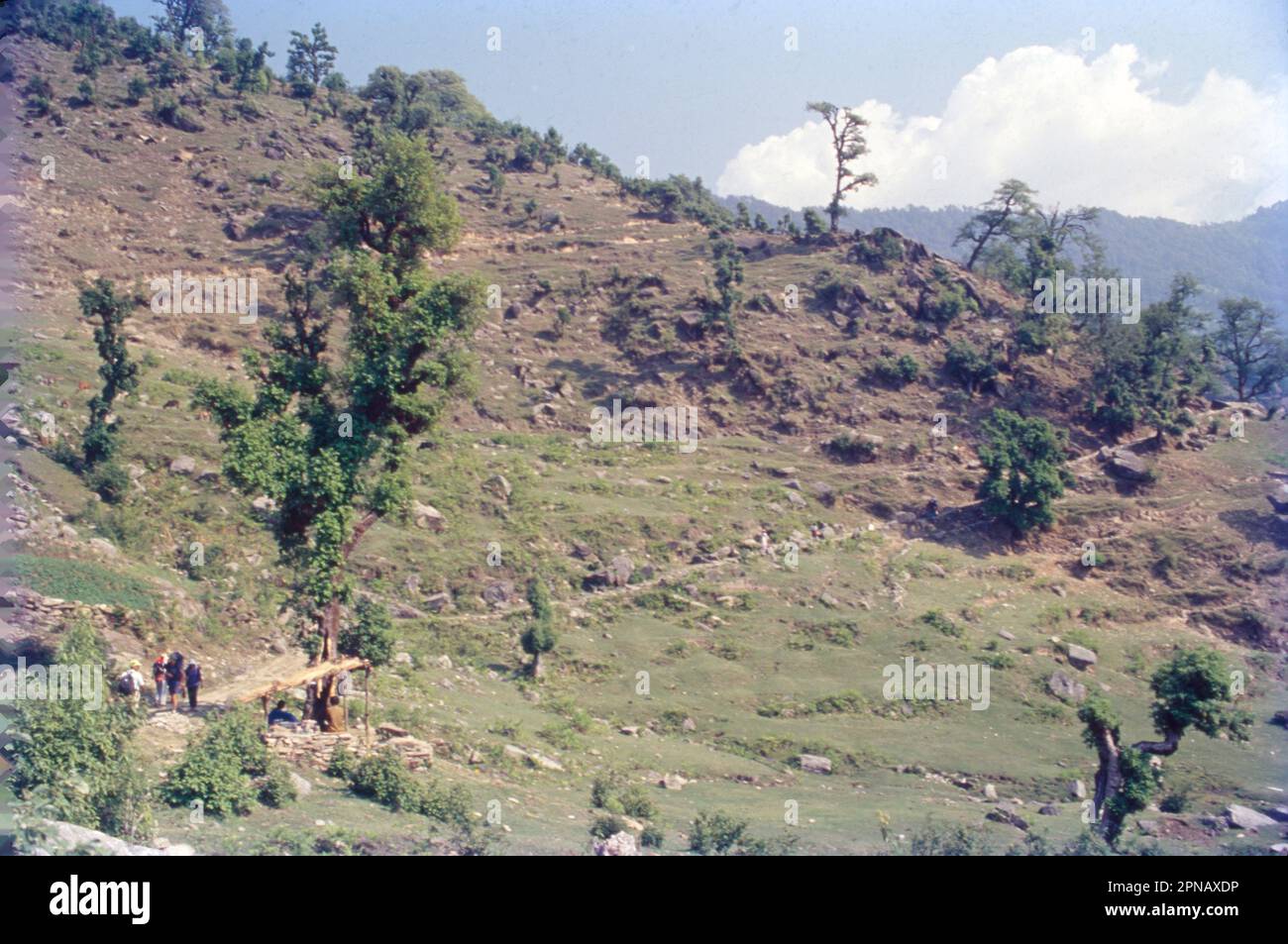 Dhakri Village, Gharwal, Kumaun Dist, Uttarakhand, India Stock Photo ...