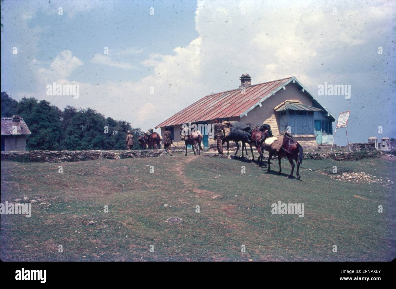 Dakoli is a small Village/hamlet in Chaupal Tehsil in Shimla District ...