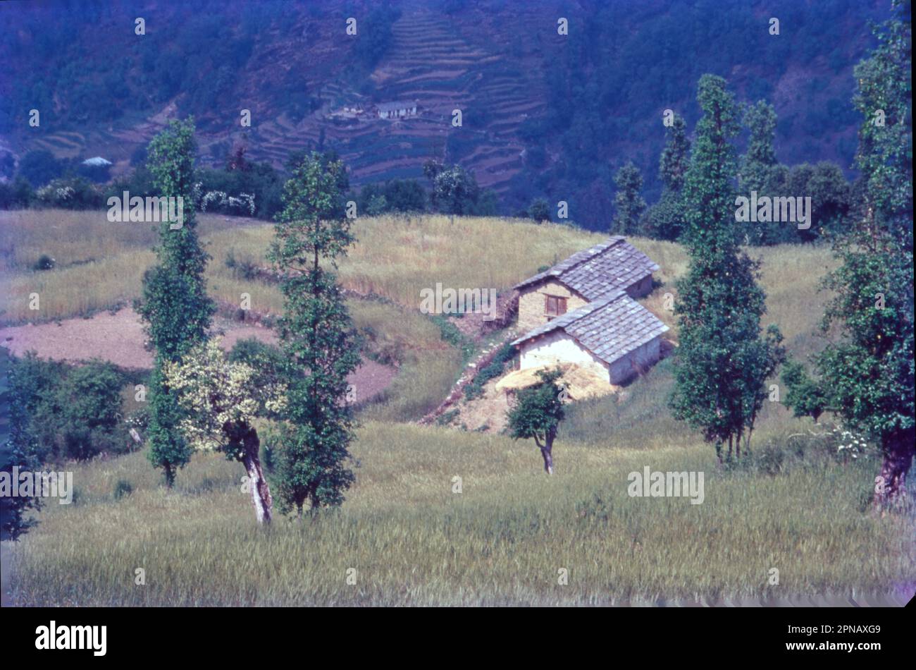 Kumaon village hi-res stock photography and images - Alamy