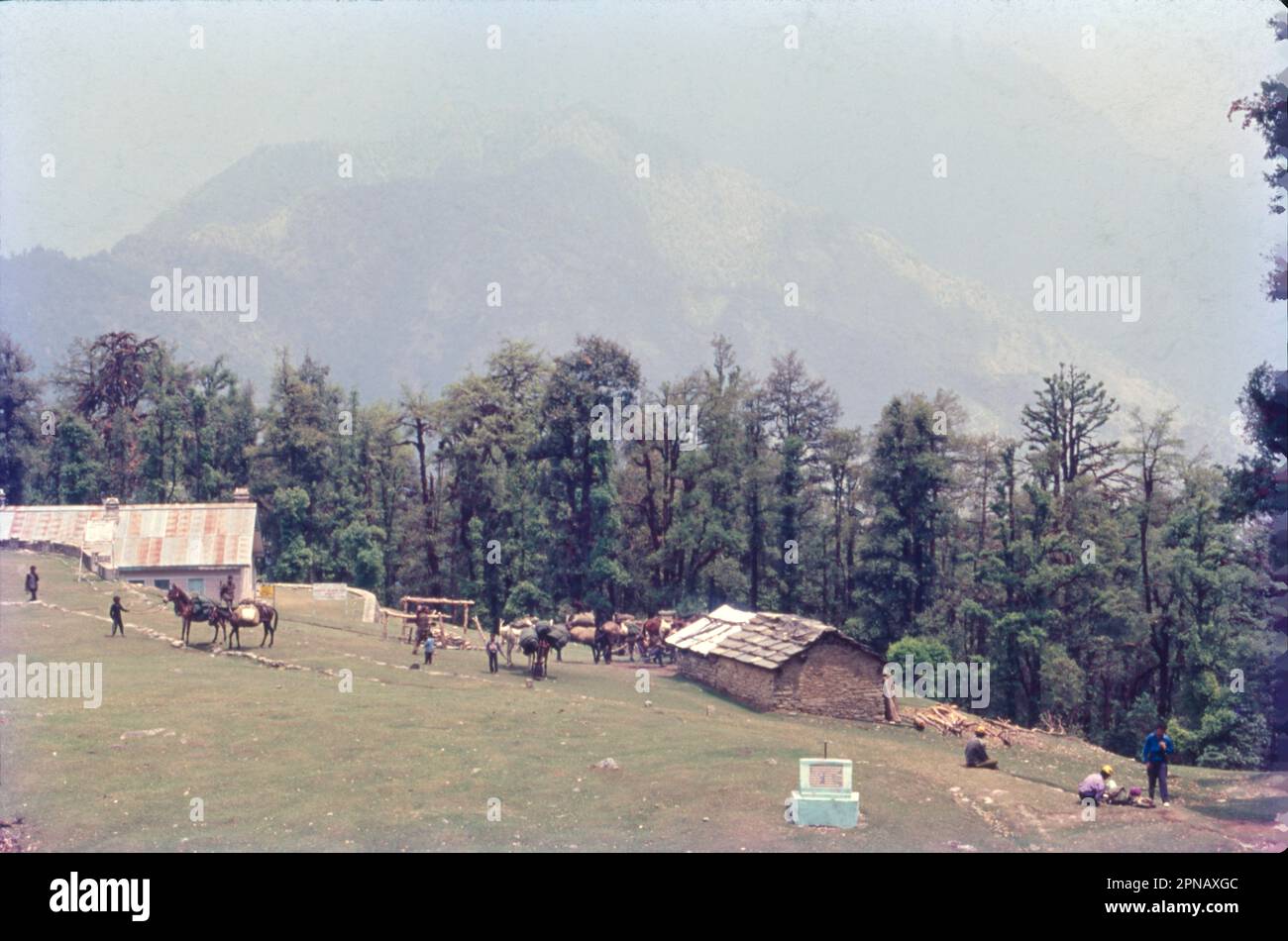 Trackers rest house hi-res stock photography and images - Alamy