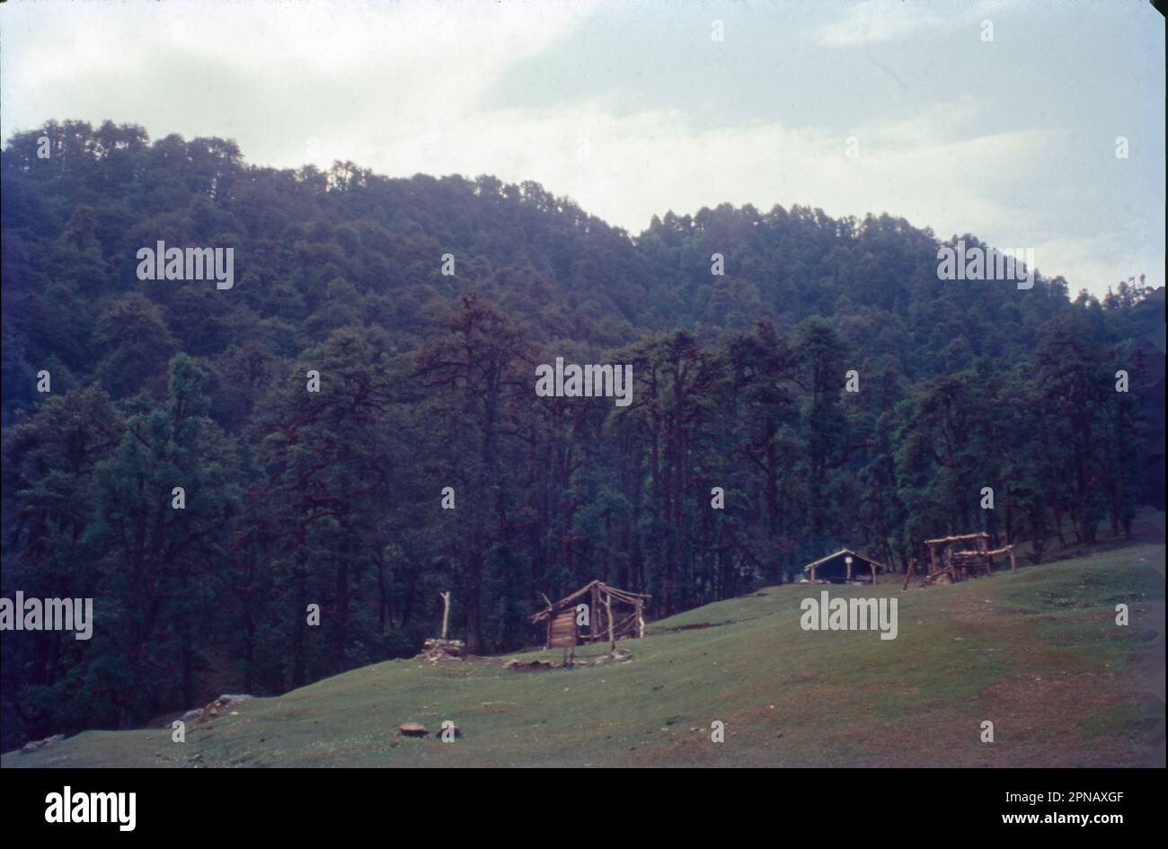 Shimla dist hi-res stock photography and images - Alamy