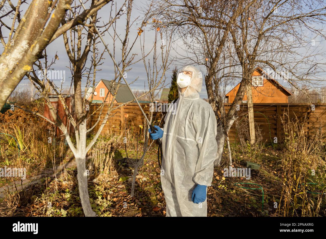 Using chemicals in the garden orchard gardener applying an insecticide ...