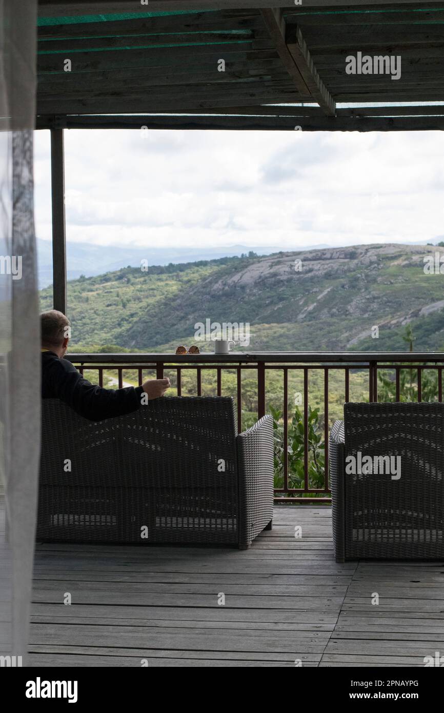 Msasa trees hi-res stock photography and images - Alamy