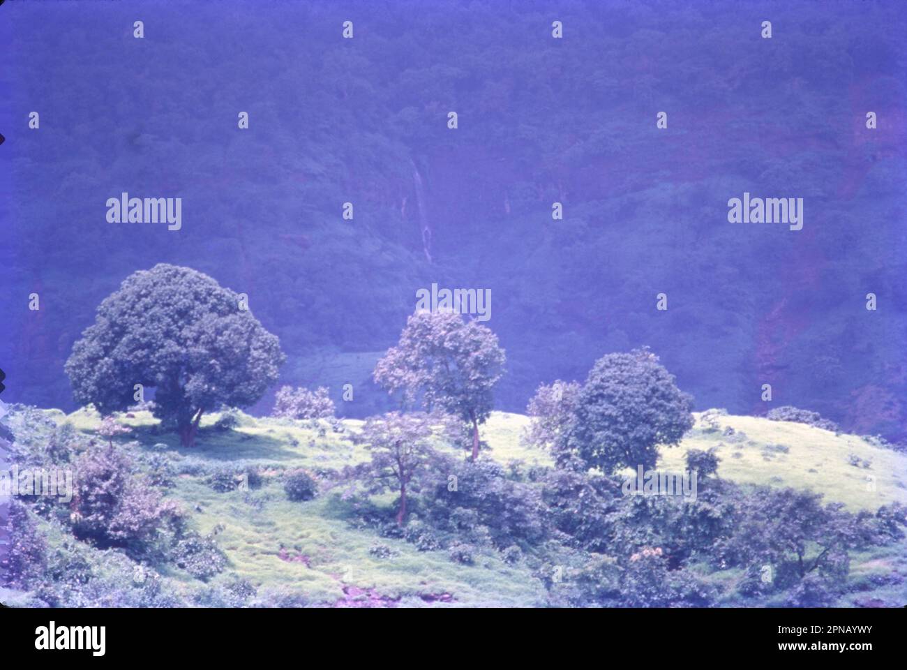 Matheran is a hill station, near Mumbai, in the west Indian state of ...