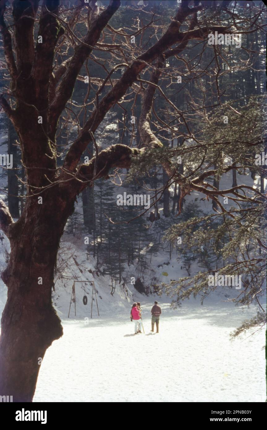 Shimla is the capital of the northern Indian state of Himachal Pradesh ...