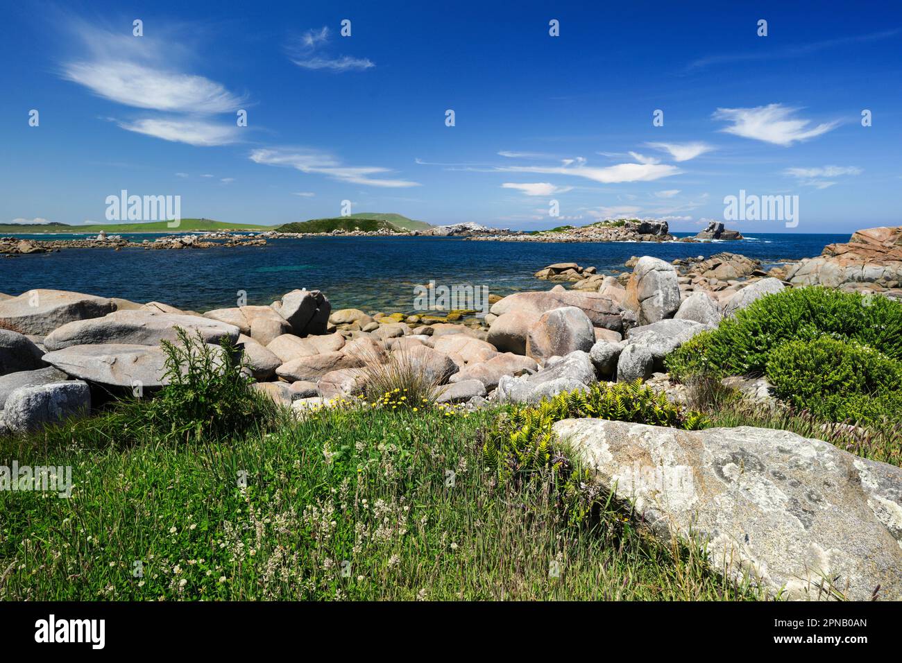 Taken in New Zealand on the South Island on the south coast near ...