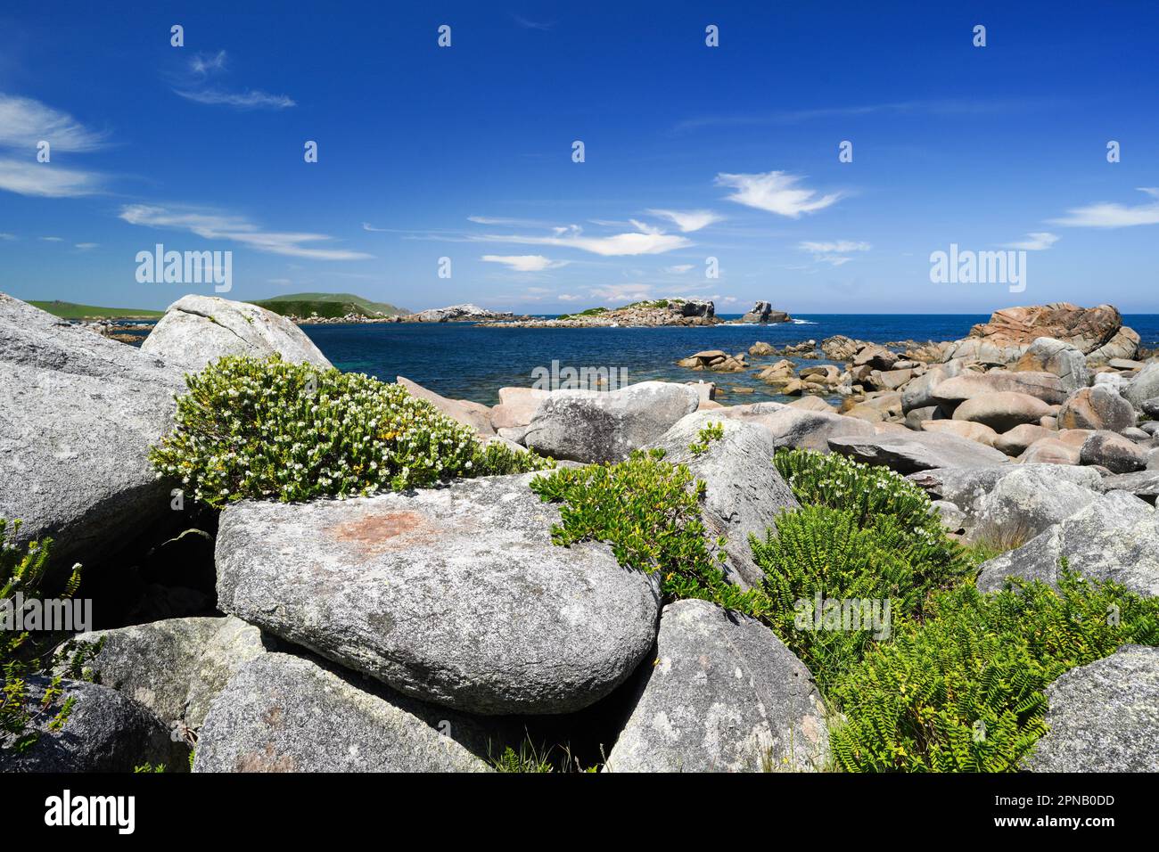 Taken in New Zealand on the South Island on the south coast near ...