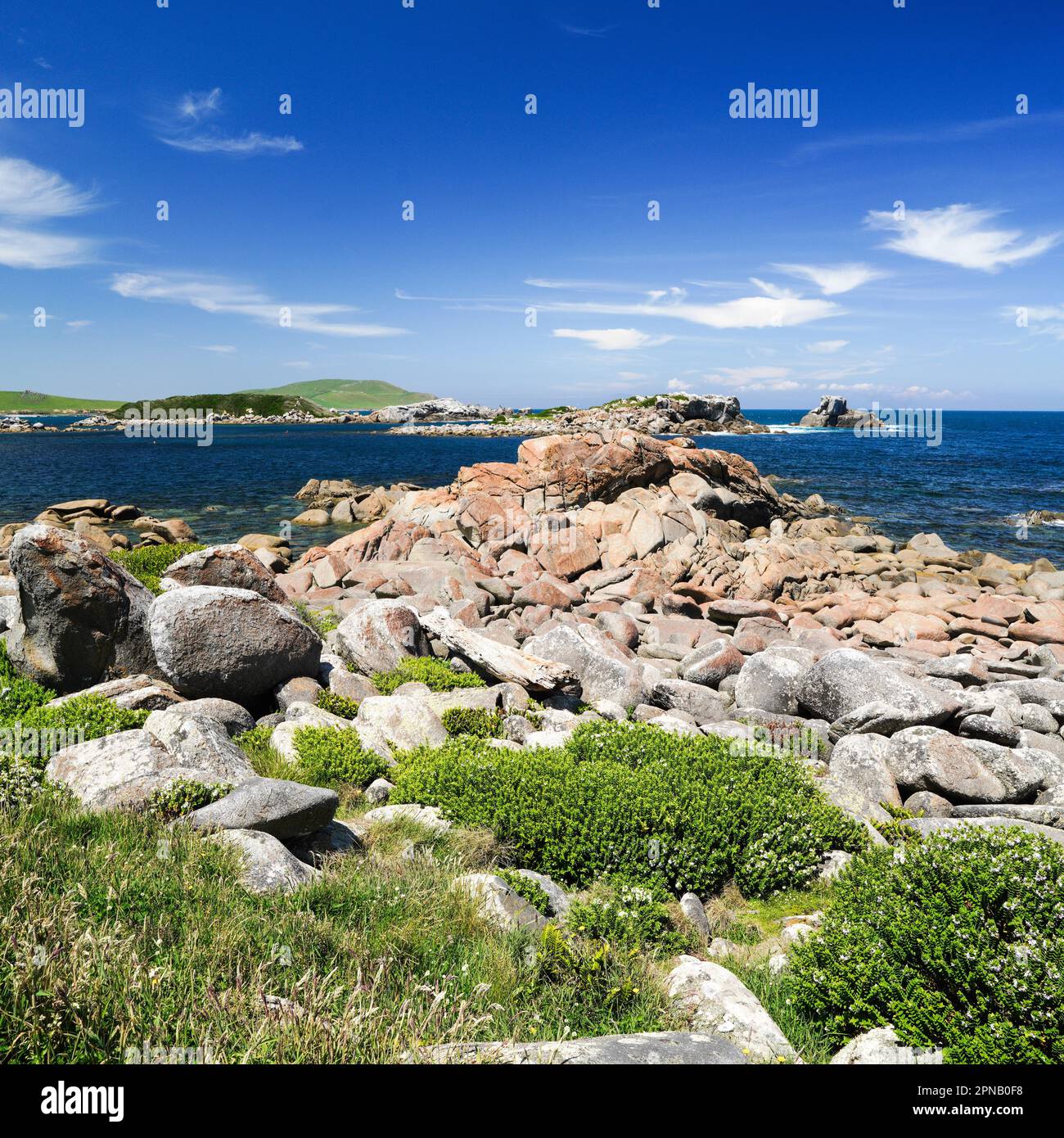 Taken in New Zealand on the South Island on the south coast near ...