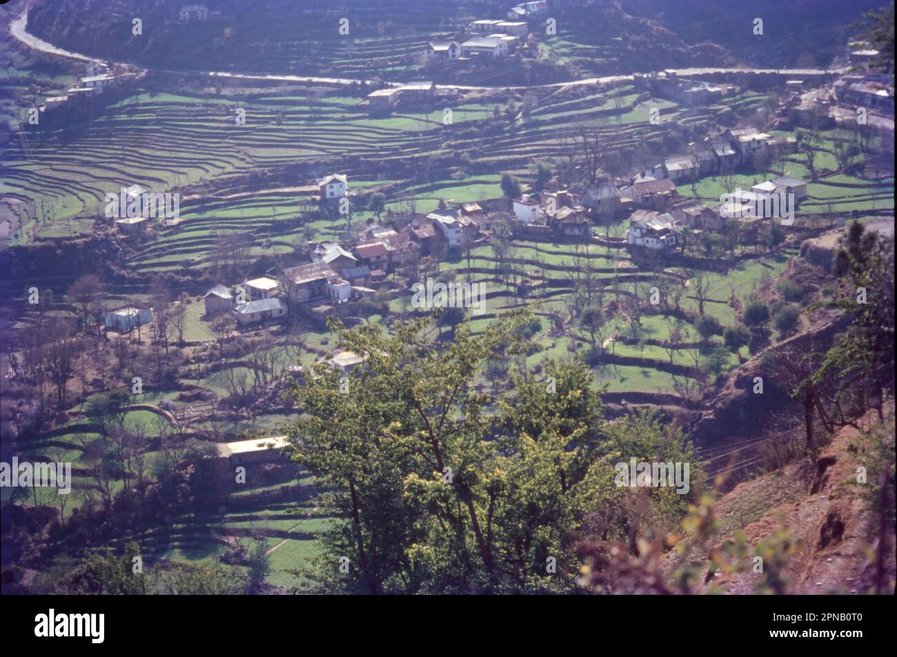 The terrain in Dalhousie is hilly. Terraced cultivation has to be used ...