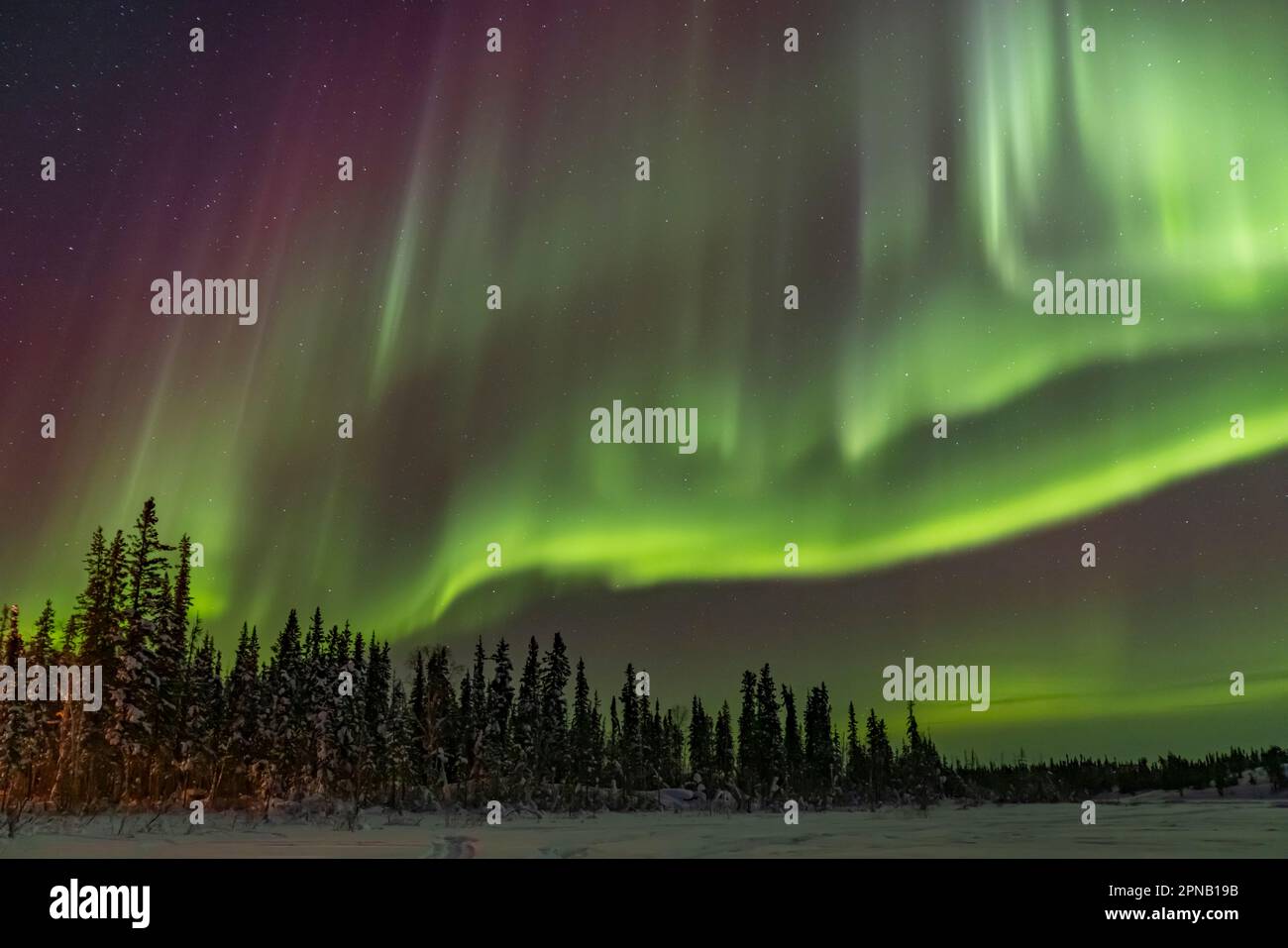 Aurora Borealis in the Northern Territories, Canada Stock Photo - Alamy