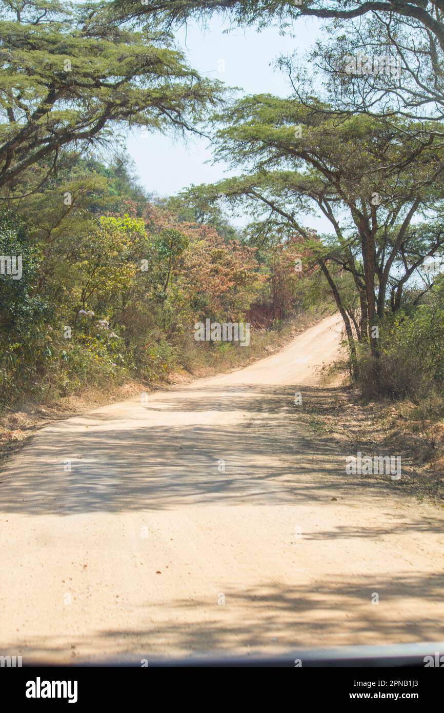 A Long Long Road Stock Photo - Alamy