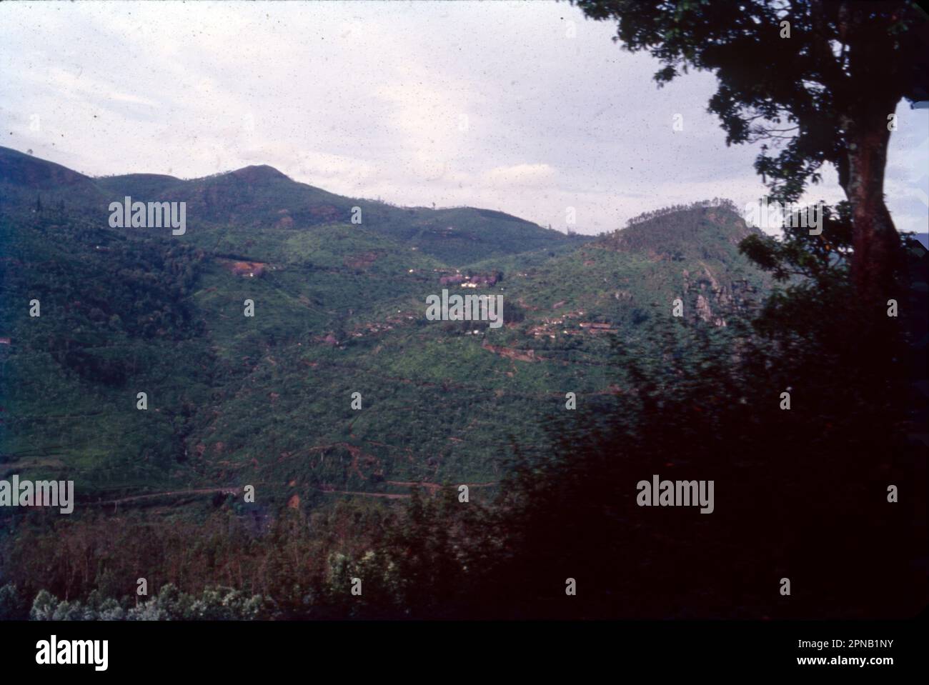 Ooty (short for Udhagamandalam) is a resort town in the Western Ghats ...