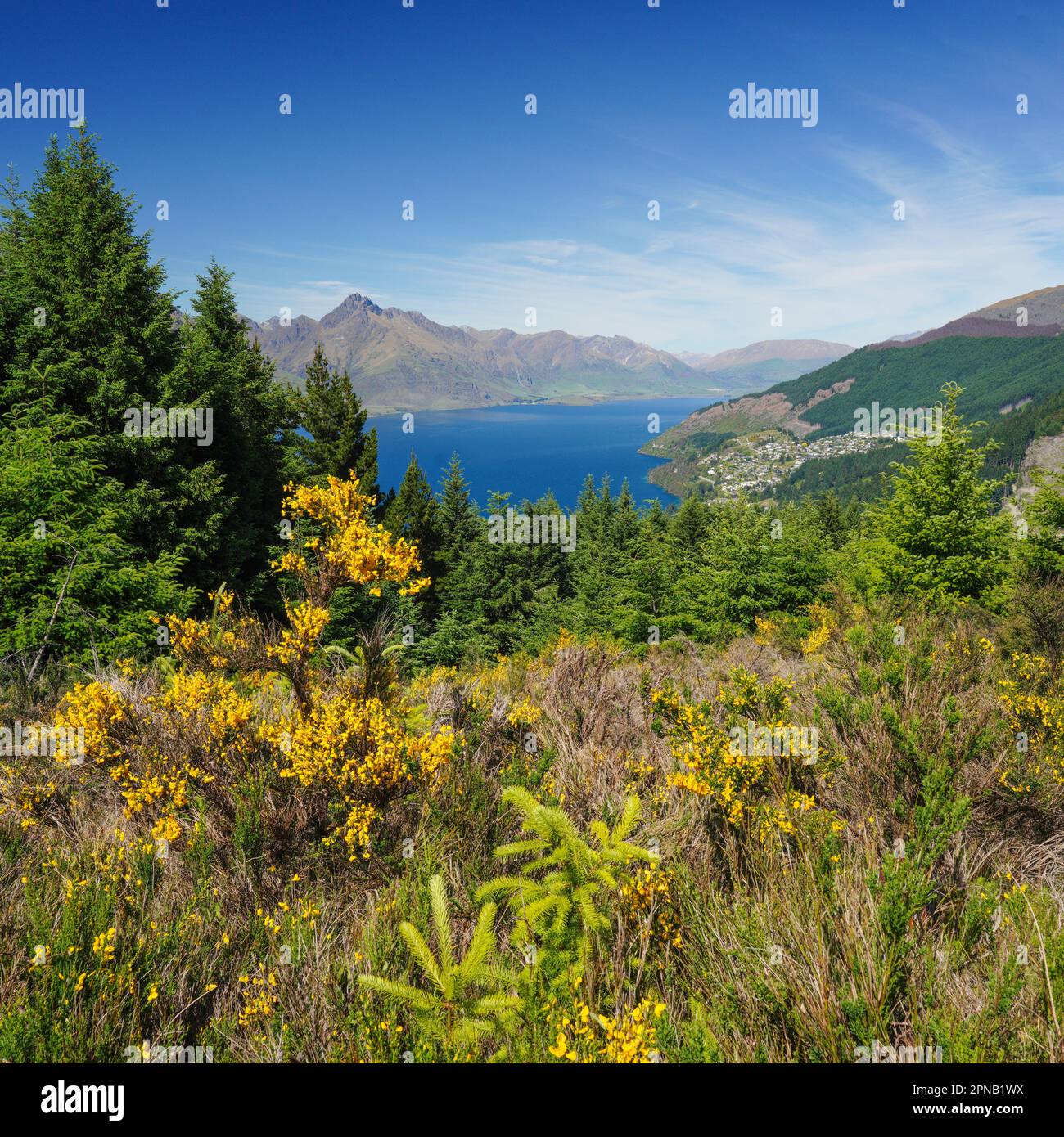 Taken going up and on Queensland Hill in New Zealand on the South ...