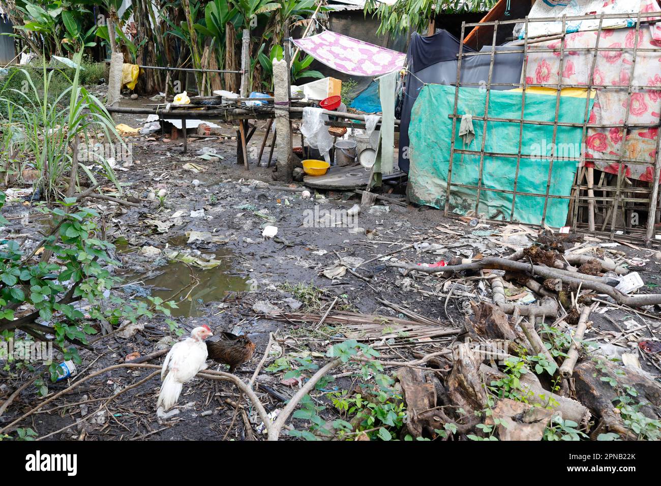 Simple life in the countryside hi-res stock photography and images - Alamy