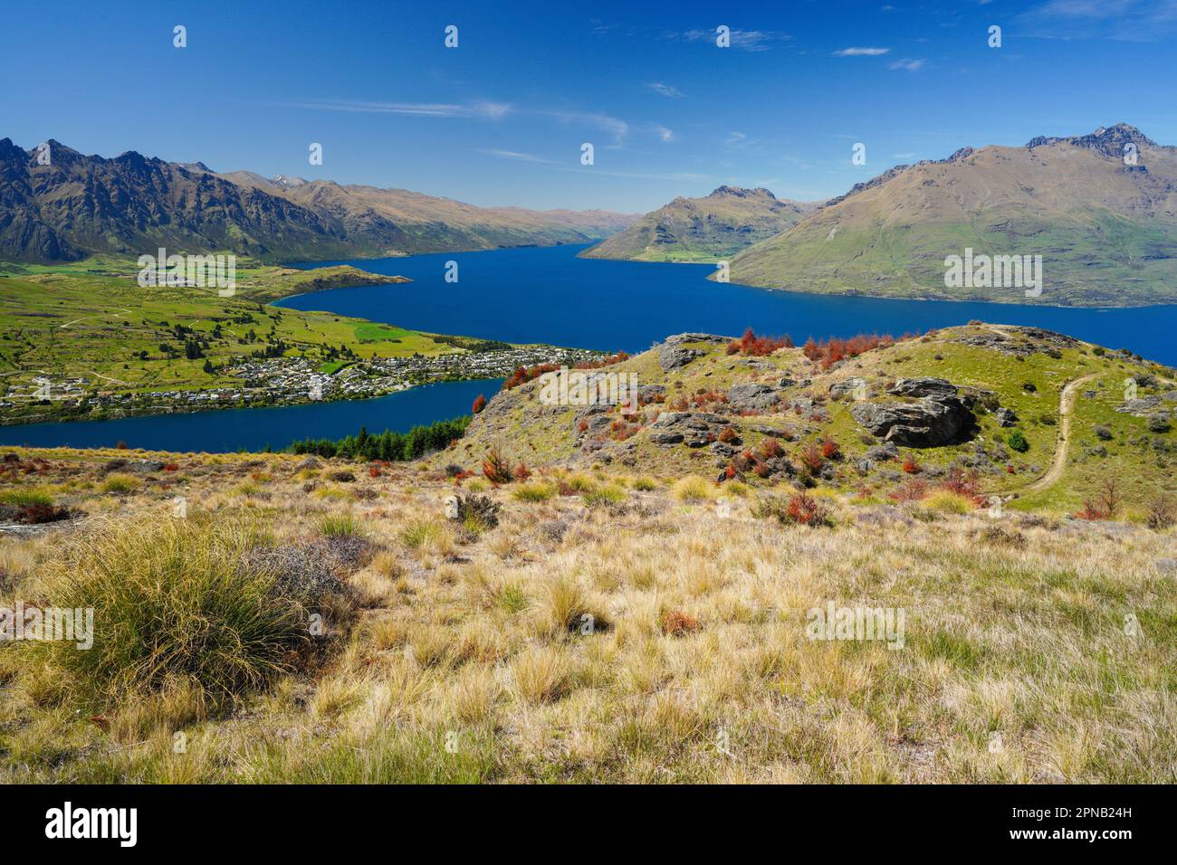 Taken going up and on Queensland Hill in New Zealand on the South ...