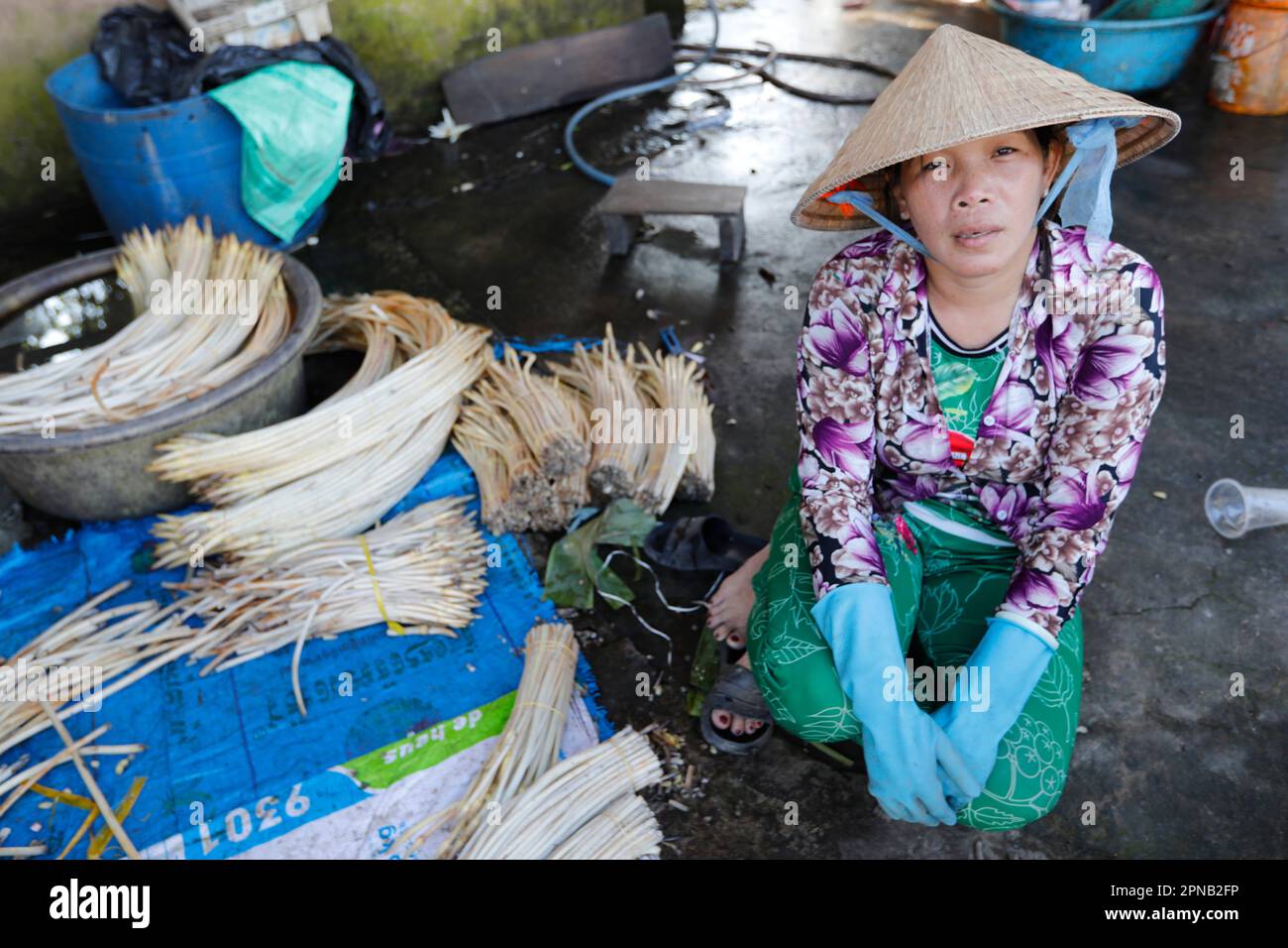A Vietnamese Woman Wearing Traditional Conical Hat. Chau Doc. Vietnam ...