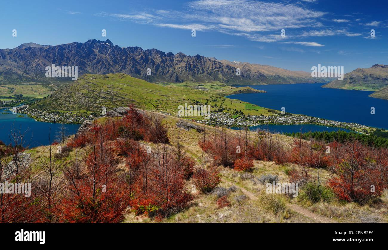 Taken going up and on Queensland Hill in New Zealand on the South ...